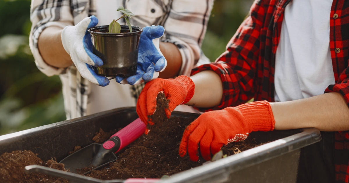 Fumivo | Fumier composté : compost riche et efficace pour votre sol ...